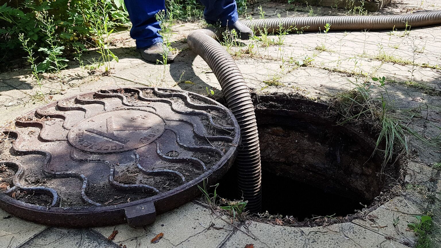 Why Grease Trap Maintenance Alone Does Not Protect Building Sewer Lines ...